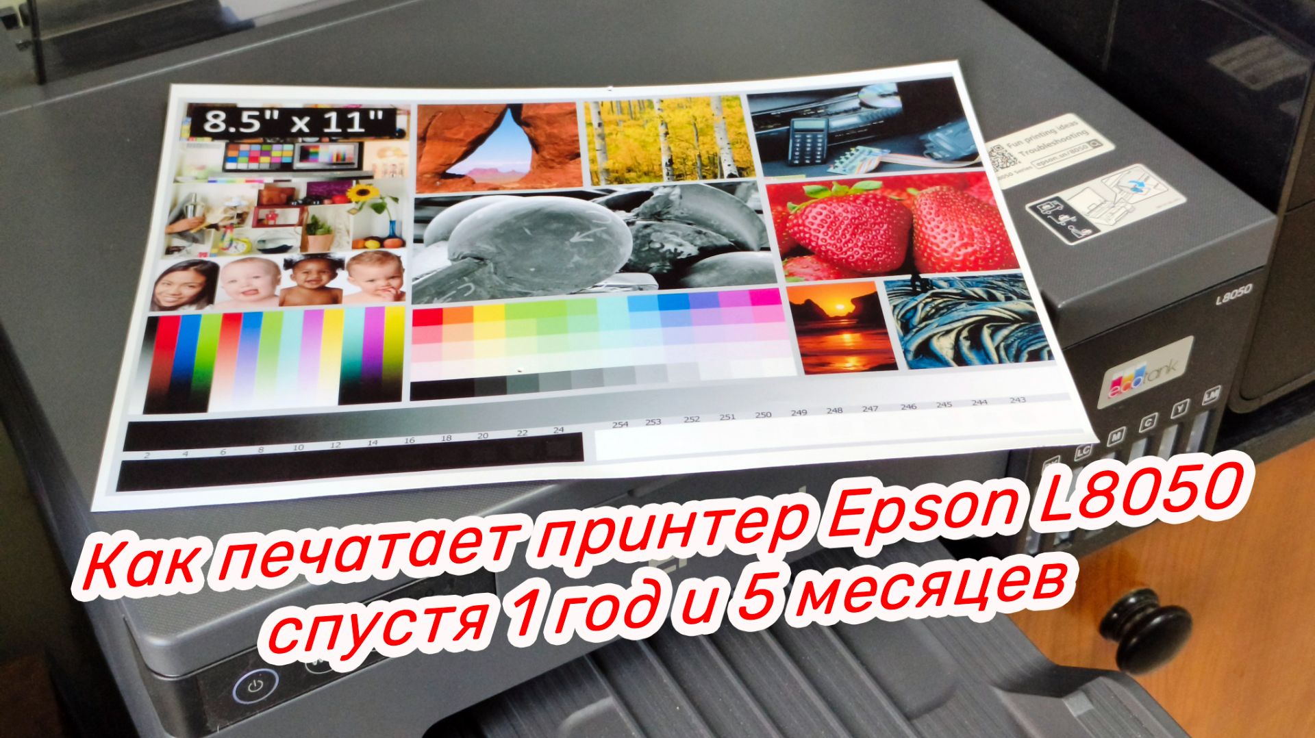 Как печатает принтер Epson l8050 спустя 1 год и 5 месяцев