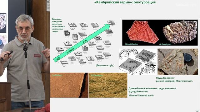 Журавлев А.Ю. - Основы палеонтологии - 5. От ордовикской радиации до девонской нектонной эволюции