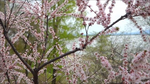 Точка невозврата. Это запрещено каждому знаку зодиака 17 марта.
