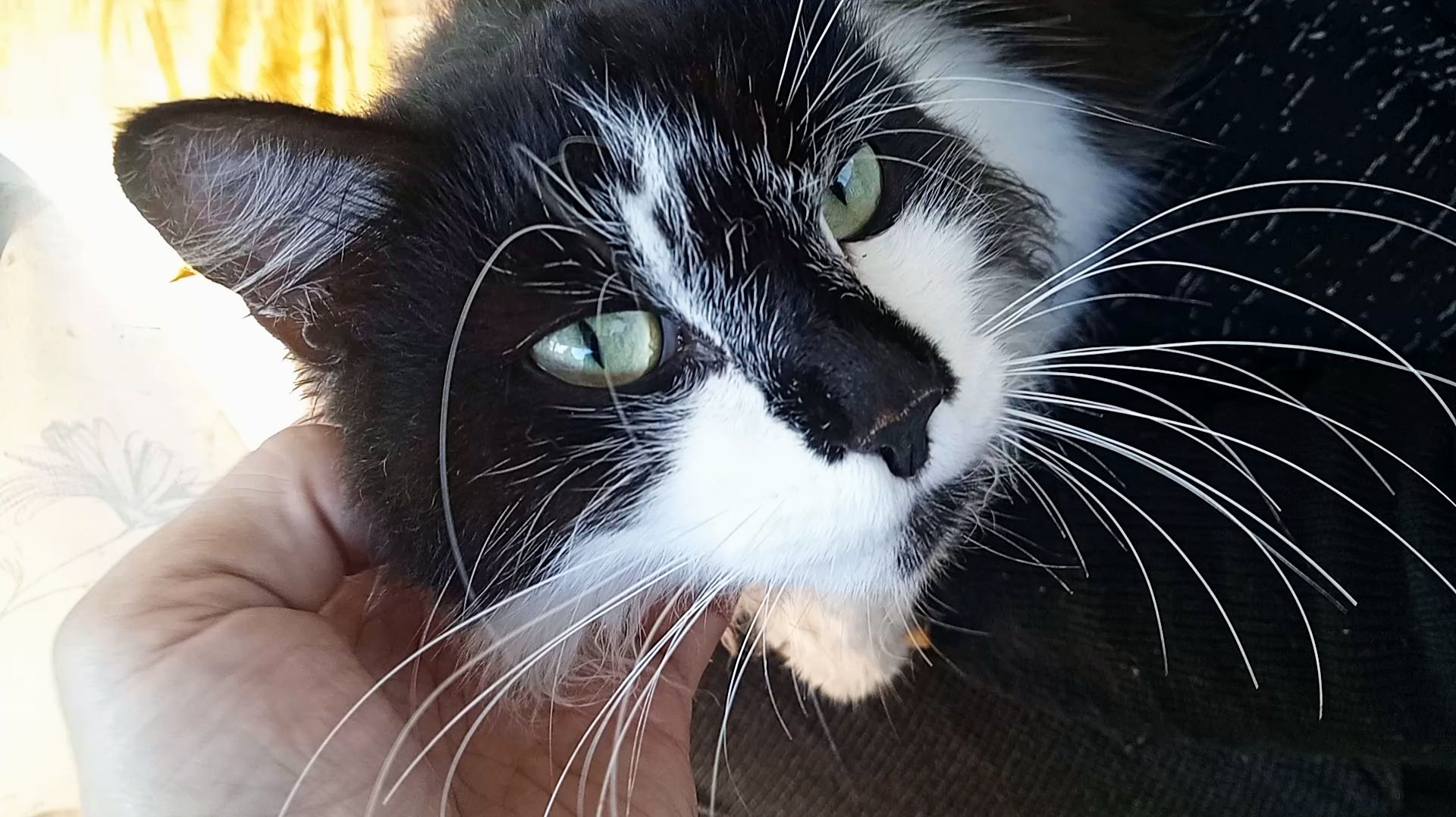 Митька.. неделю отвисает