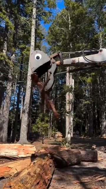 Googly Eyes make everything better