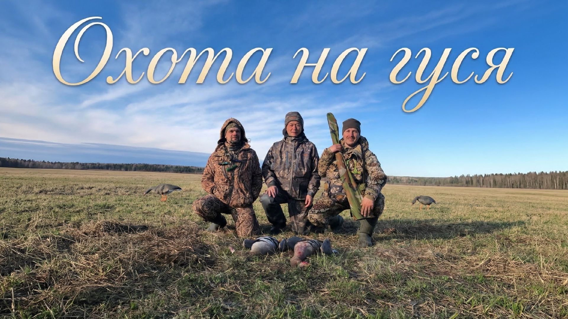 Охота на гуся #37 | Неконтактный гусь и сильный ветер