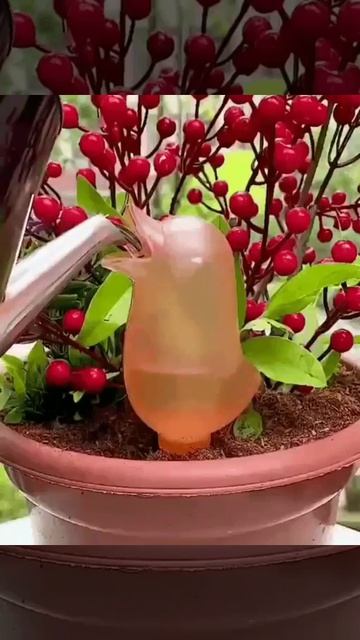 27 полив капельный