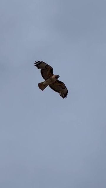 В парке у Мамаева кургана #песнидлядуши