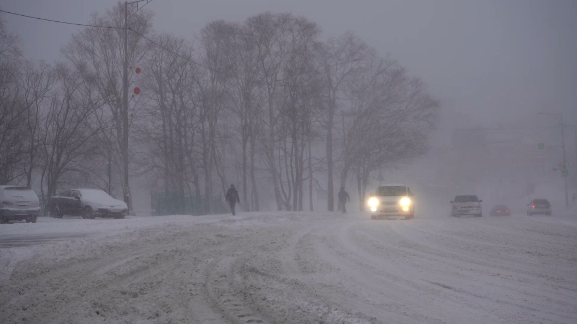 ВО ВЛАСТИ ЦИКЛОНА