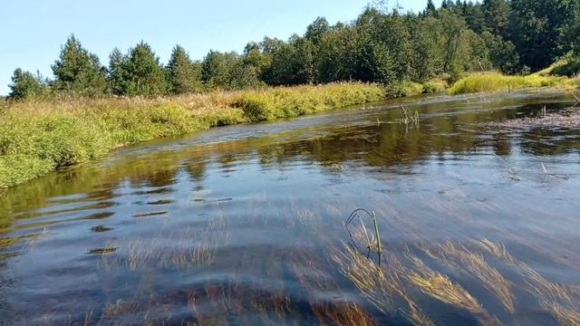 Наш путь: река Меглинка в Новгородской области, д. Ерёмино