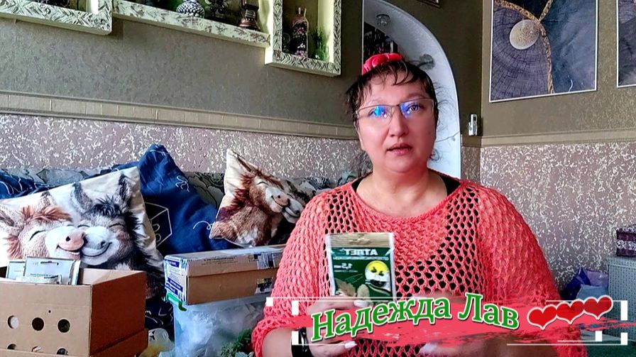 Мои подкормки: от рассады до урожая