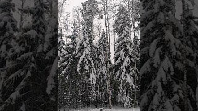 №109 Восстановление и гармонизация коры головного мозга