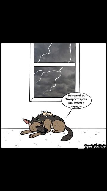 Флешбек Брута. Пикси и Брут