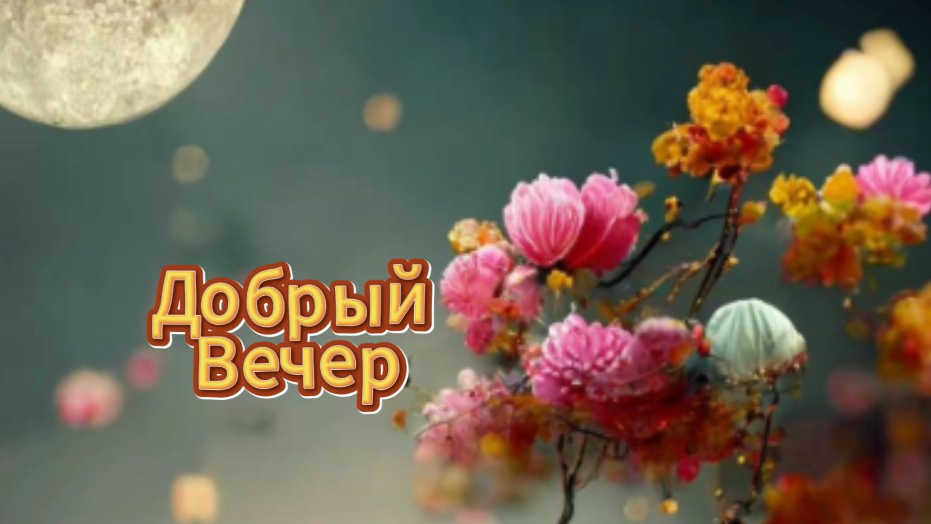 Добрый вечер пусть вечер будет добрым всем хорошего вечера 🌆✨