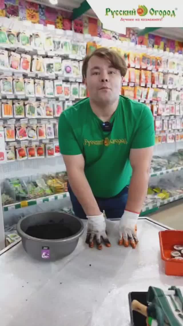 Посев семян в улитку.