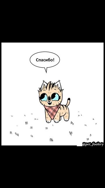 Пикси и лимон. Пикси и Брут