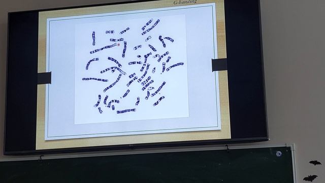 20.10.2025 (1 часть)