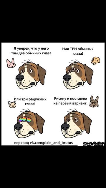 История Хьюго. Пикси и Брут