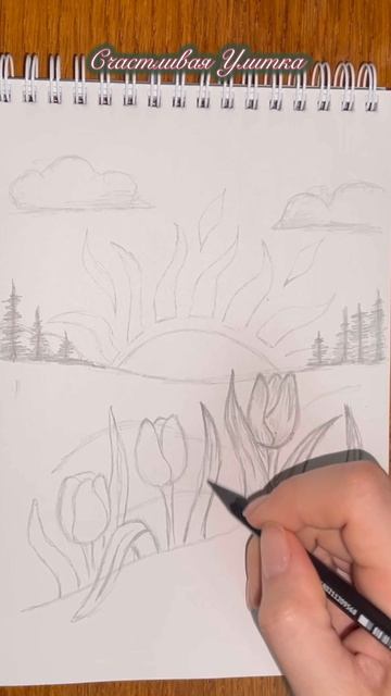 Простой рисунок карандашом