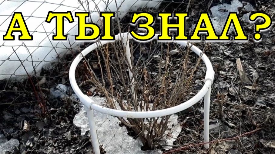 Перечень работ на даче В МАРТЕ💪💪💪