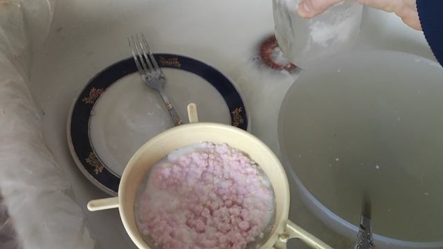 Кефирный грибок снова стал розовым