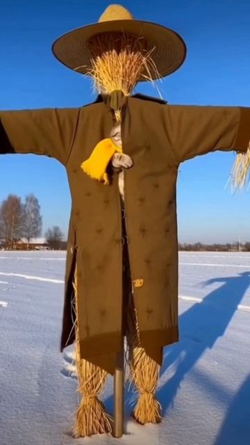 Фокус с исчезновением