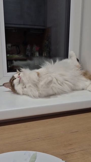 ЛУИЗА И МЯТНЫЙ ЧАЙ: случайно надышалась. Реакция на перечную мяту: плюсы, минусы