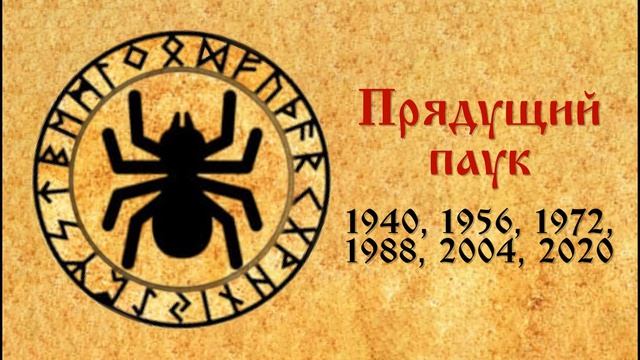 ГОДОСЛОВ | ПРЯДУЩИЙ ПАУК | НАСТЯ МАЛАХОВСКАЯ