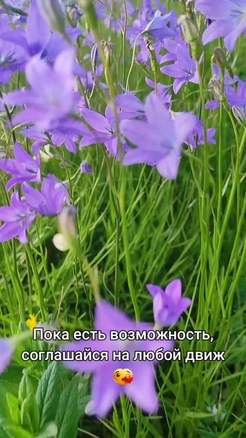 Отправь это тому, с кем хочешь уехать