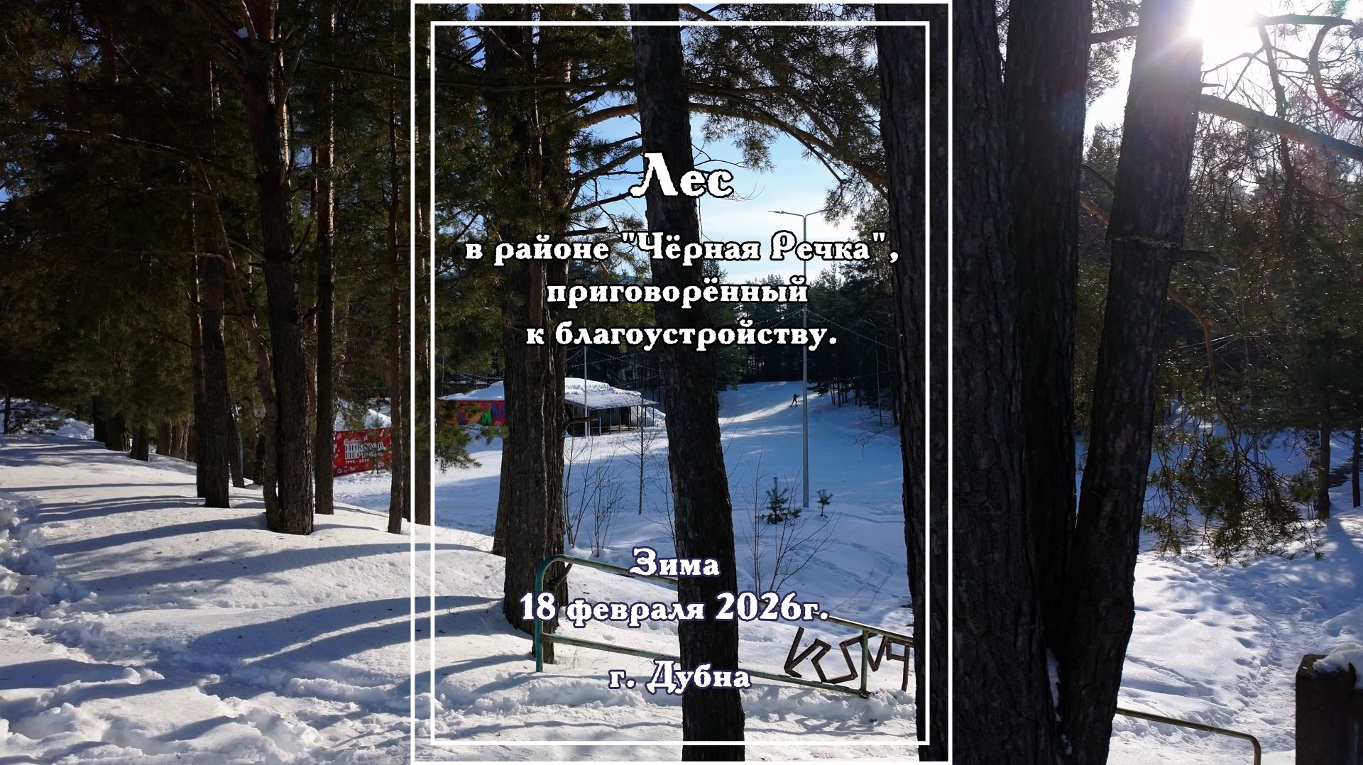 В Чернореченском Лесу 2026.02.18 In the Forest on the Black River