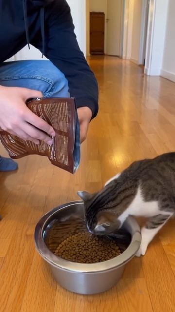 Припарковался