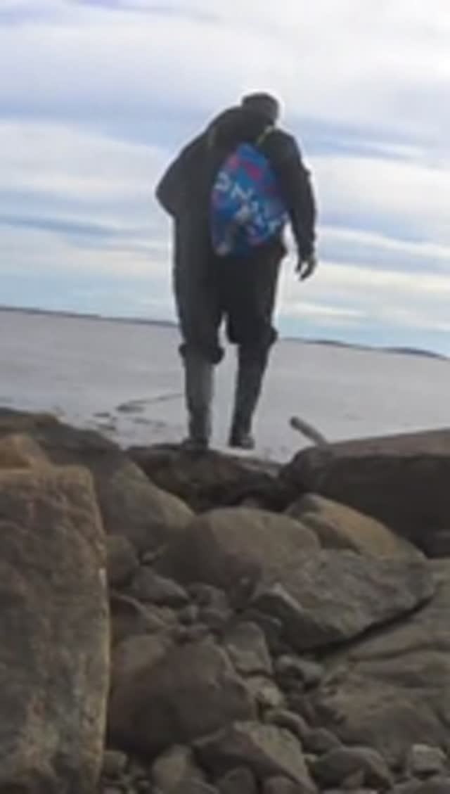 Наловил картофельный мешок рыбы Shorts