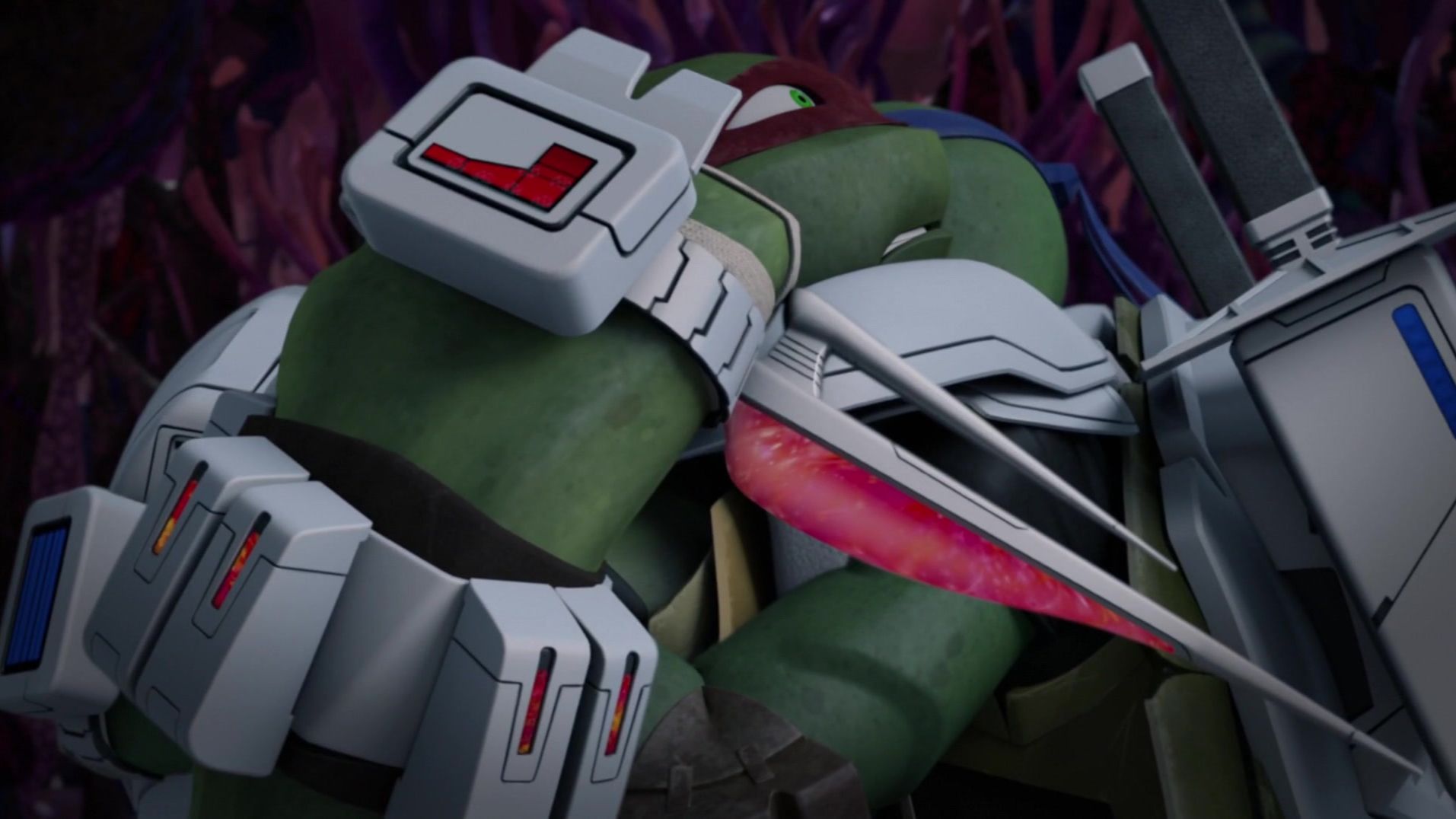 TMNT Raph & Leo SuperHero_