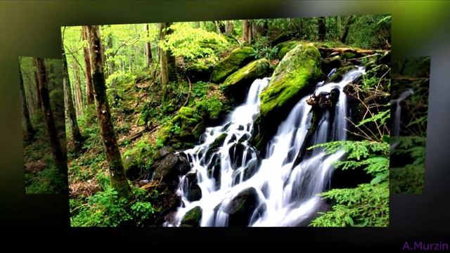 Alex Brynskich - Everest Relax