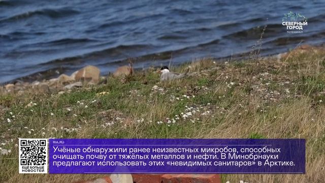 ДАЙДЖЕСТ «СЕВЕРНОГО ГОРОДА», 16.03.2026