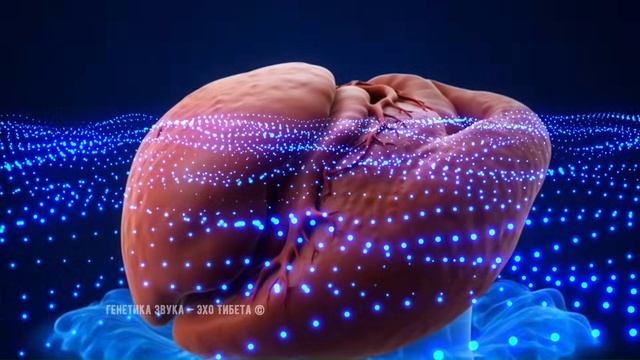 Мощный комплекс матриц Гаряева для внутренних органов  Лимфа, Поджелудочная, Печень, Щитовидка, ЦНС