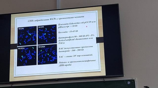 20.10.2025 (2 часть)