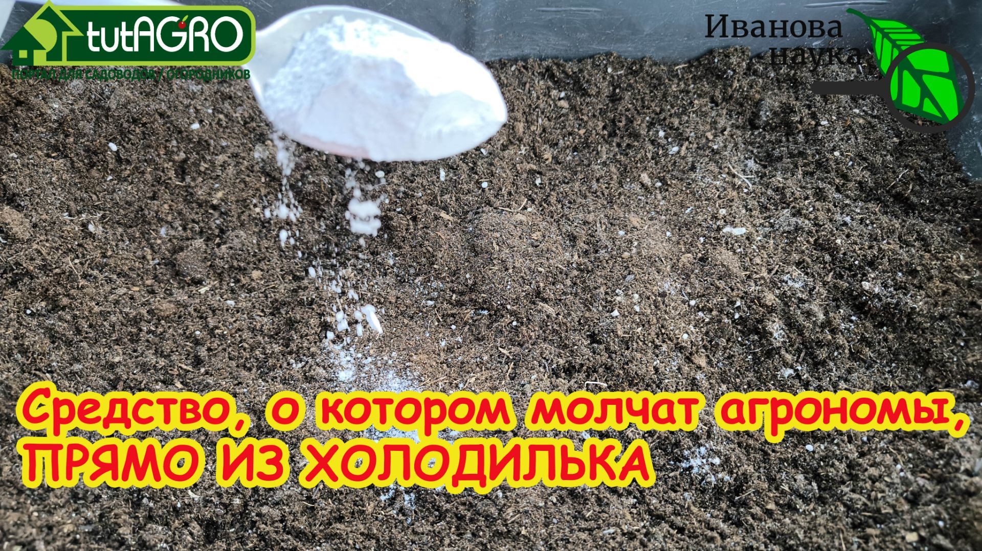 Добавьте 1 ЛОЖКУ в почву, и вы не узнаете свой огород: результат уже через неделю.