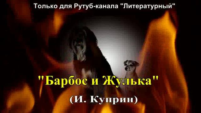 Художественный пересказ рассказа Куприна «Барбос и Жулька»