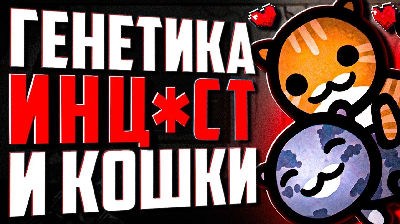 Игра про котиков нанесла мне травму Mewgenics | Amytrip