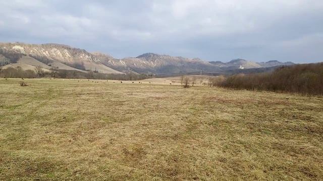 Заехали на природу в предгорье Кавказа