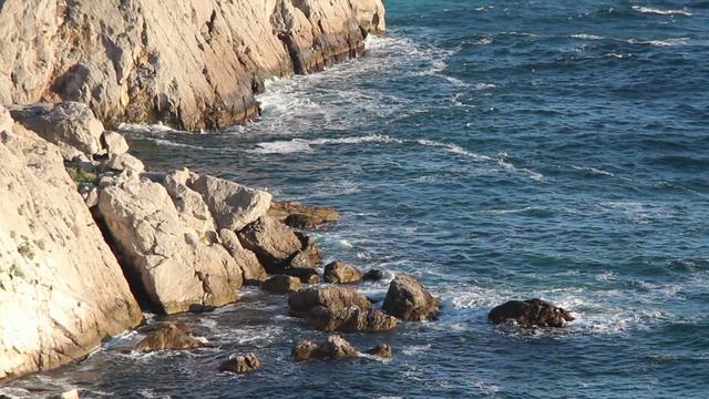 Панеа волны крупно