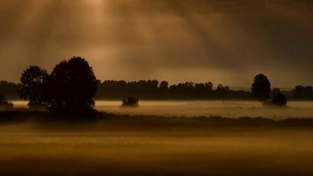 Аллилуйя Михаил Щербаков