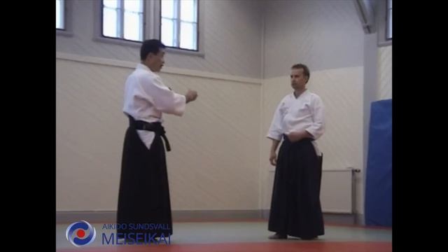 6.Aikido Ai Hanmi Nikyo Shishiya Sensei Sandviken 2002