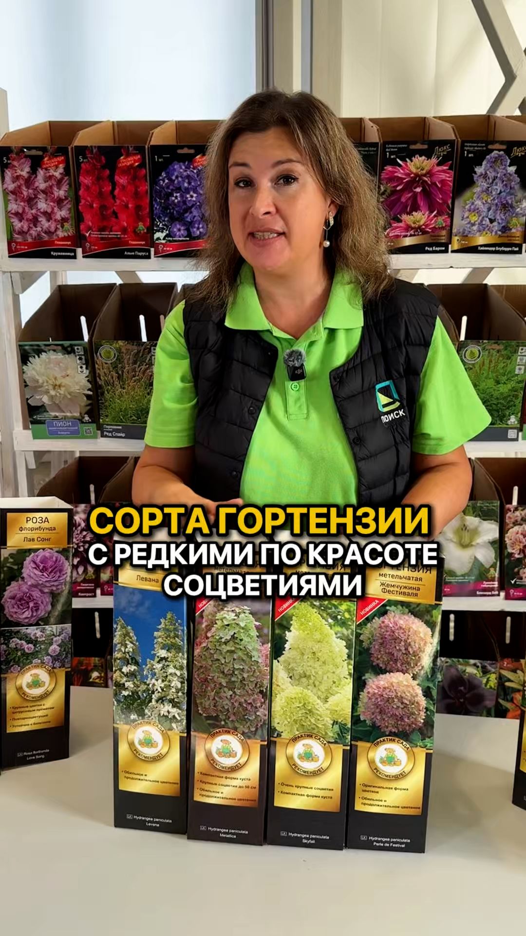 4 сорта гортензии С РЕДКИМИ СОЦВЕТИЯМИ!