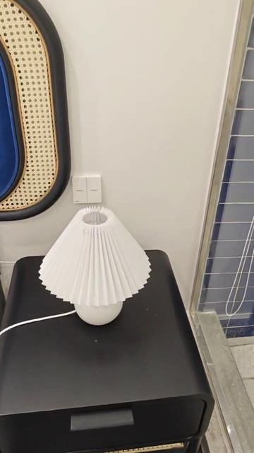 17 марта.Вьетнам.