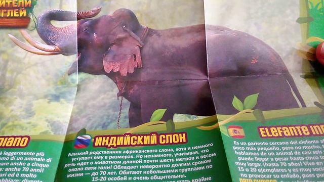 ПОВЕЛИТЕЛИ ДЖУНГЛЕЙ в пакетике от сбабам. Распаковка и обзор.