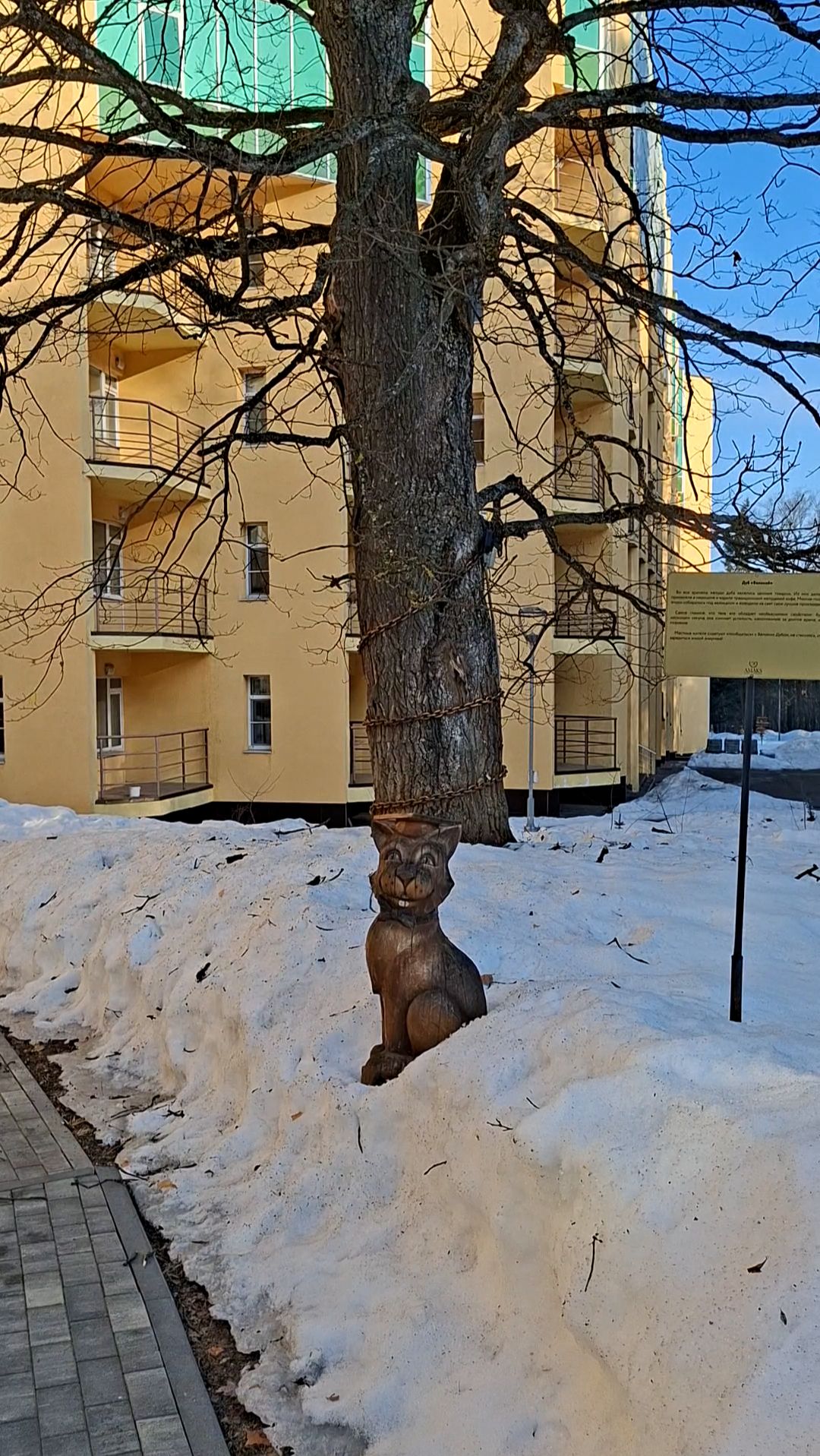 Санаторий Красная Пахра  первый день :кот и дуб