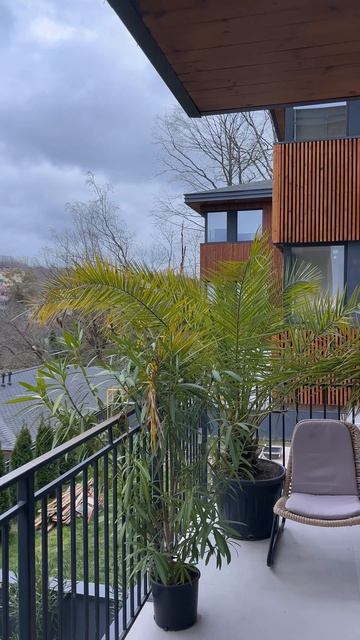 Купить дом у моря Сочи Адлер