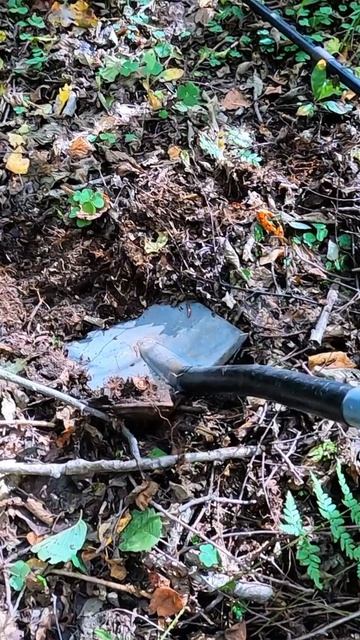 Не менее интересная находка!