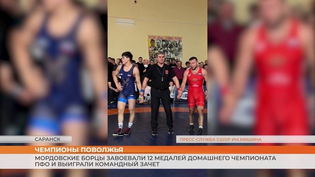 Чемпионат ПФО по греко-римской борьбе