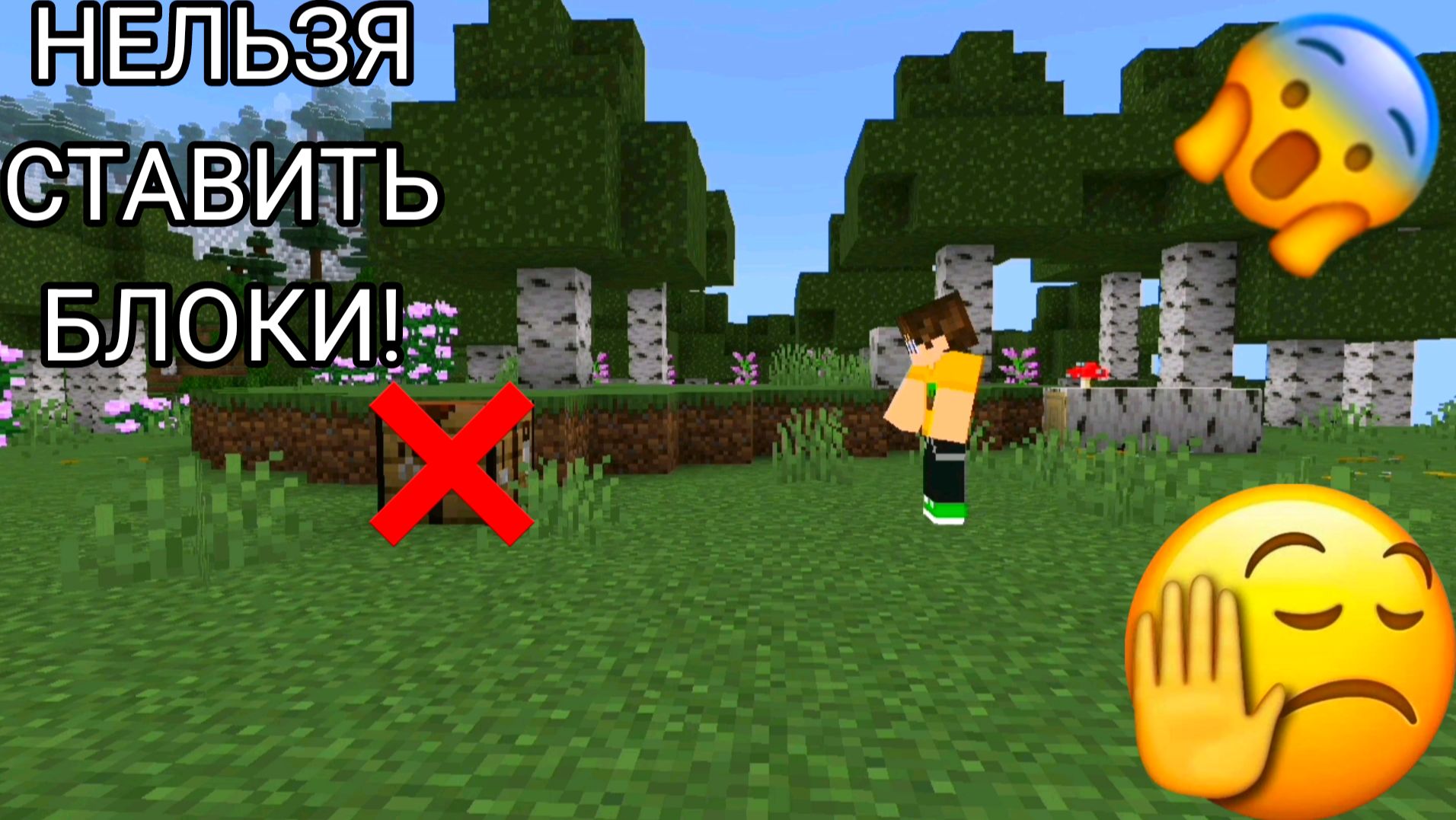 Майнкрафт но мне нельзя ставить блоки в minecraft | ДимА4 minecraft!