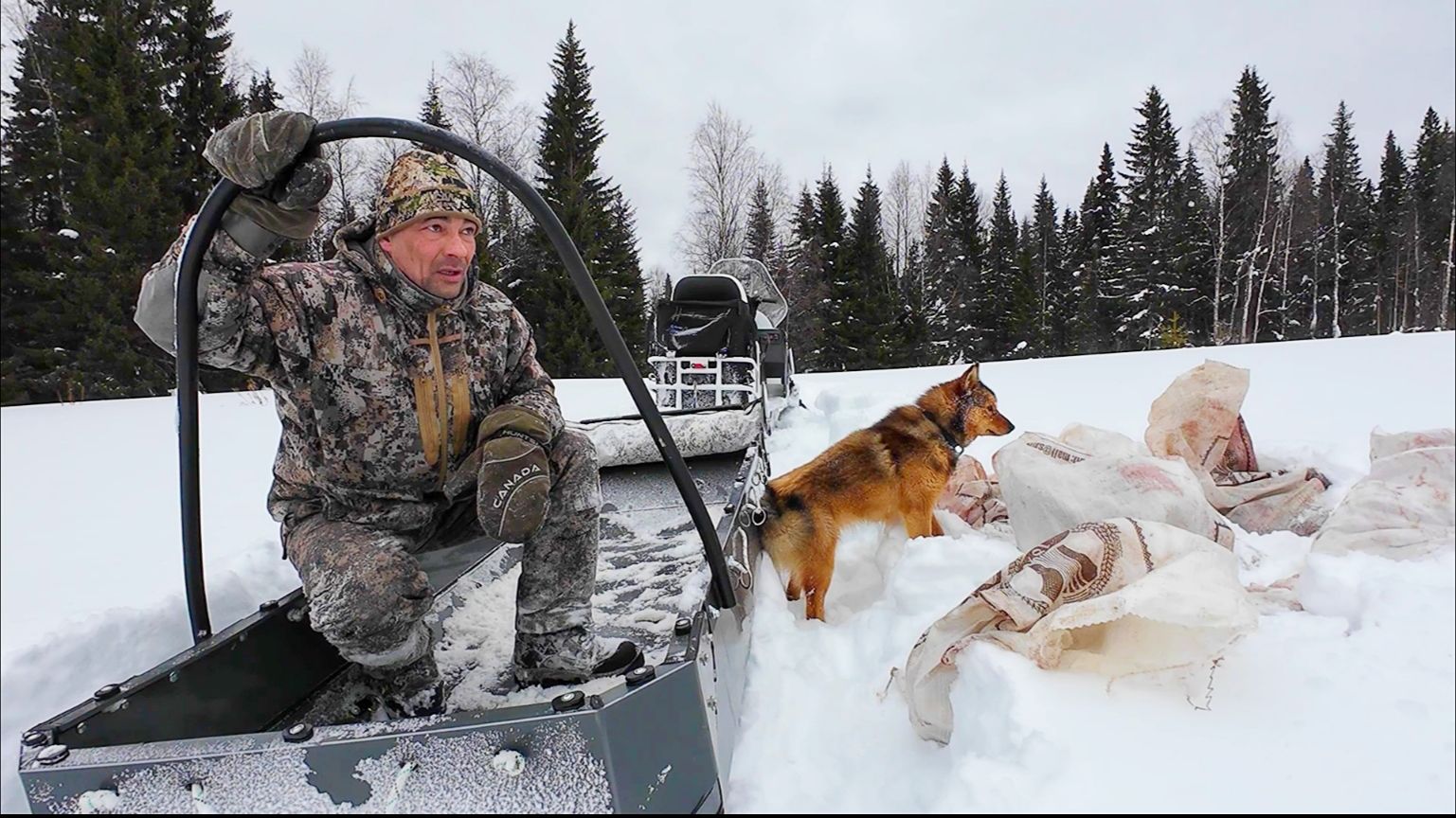 МЕДВЕЖЬЯ ЕДА / ПОДГОТОВКА К ОХОТЕ / СНЕГОХОД СМ-003 + САНИ МАКСИХОД MAКС ЭКО ПРО 250.