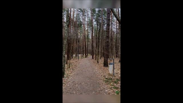 Москва, Переделкино 2024